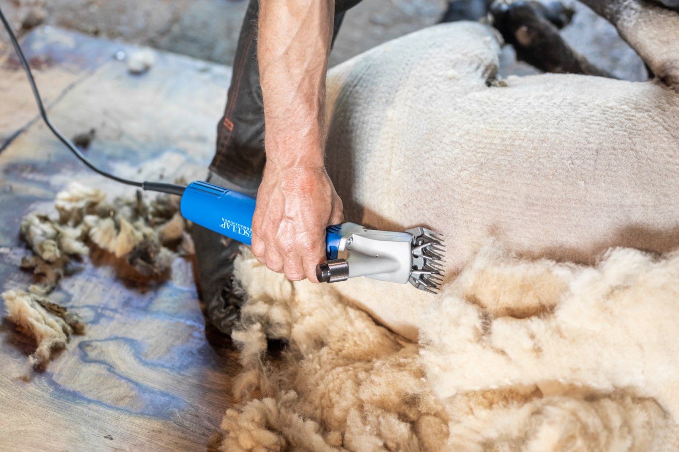 Aesculap Sheep Shearing Machine Eco ... - Aesculap