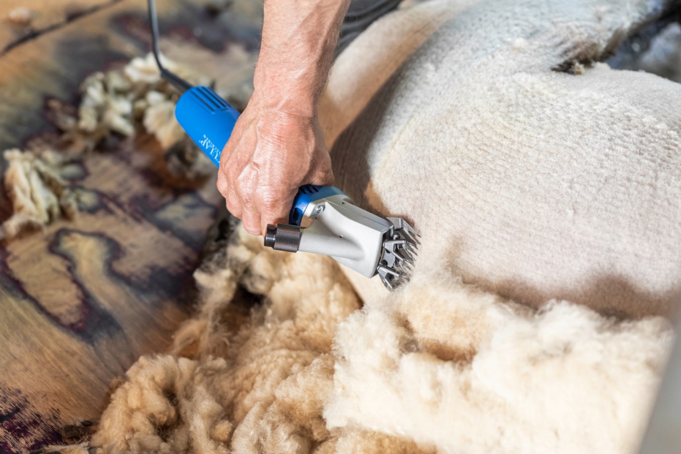 Aesculap Sheep Shearing Machine Eco ... - Aesculap