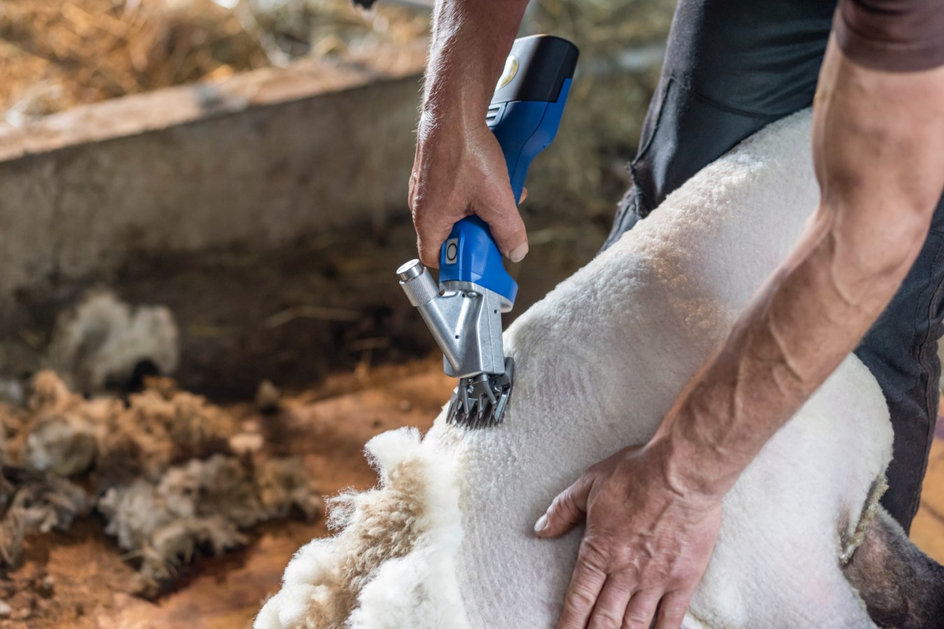 Aesculap Cordless shearing machine ... - Aesculap
