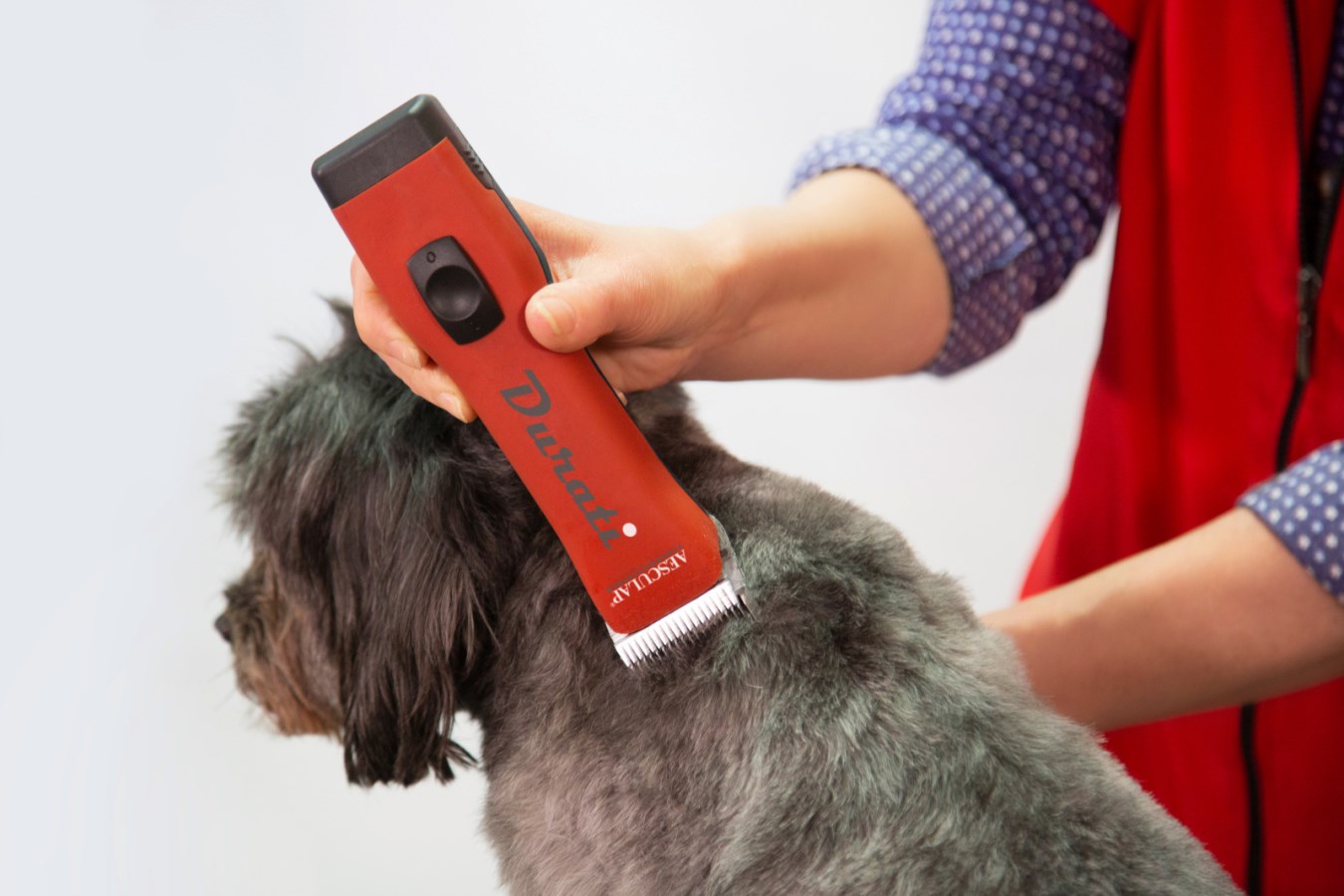 Aesculap Cordless Clipper Durati,Ae ... - Aesculap