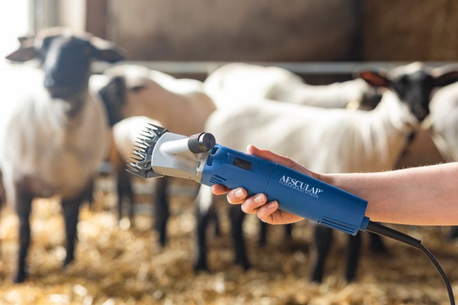 Aesculap Sheep Shearing Machine Eco ... - Aesculap